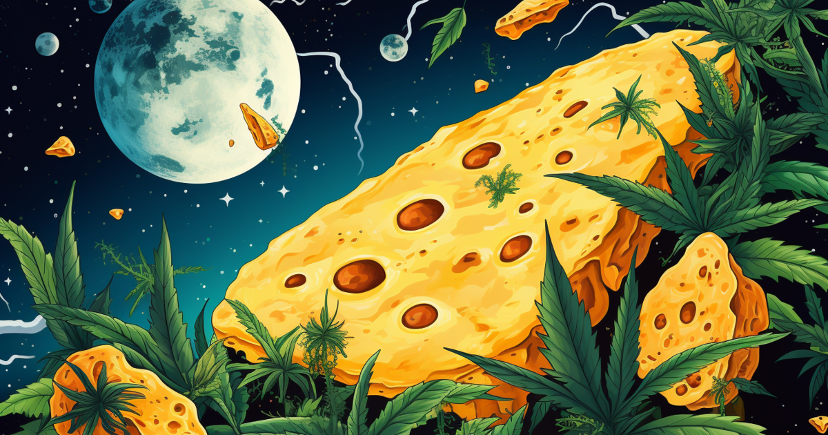 Cannabis Sorte Cheese | Cannabis Compass